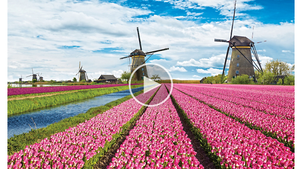 Holland River Cruise | Europe Spring River Cruise | Grand Circle Cruise ...